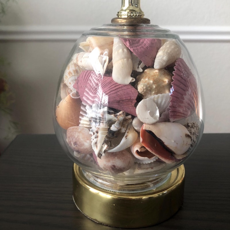 Shell Lamp - Etsy