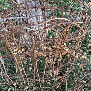 Antique Single Loop Wire Garden Fencing, Woven Wire, Fence, Shabby Chic ...