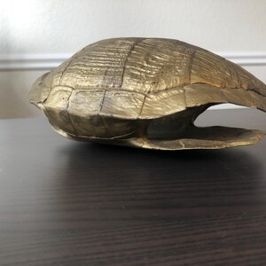 Vintage Gold Painted Turtle Shell, Hollow Center, Genuine American ...