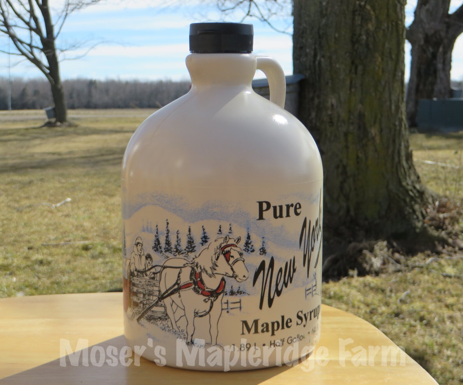 Pure Maple Syrup, New York Maple Syrup, Half Gallon Syrup, Maple Syrup ...