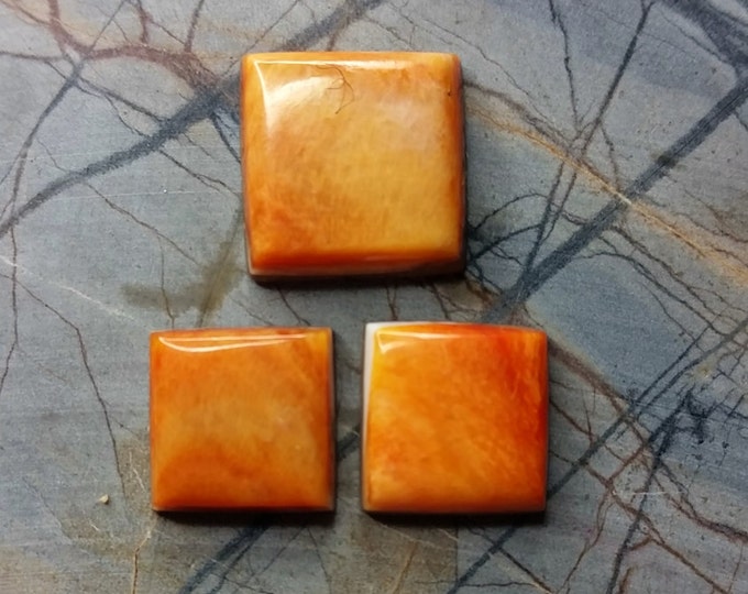 Orange Spiny Oyster Shell Square Cabochon Set/ Set of 3/backed/ - Etsy
