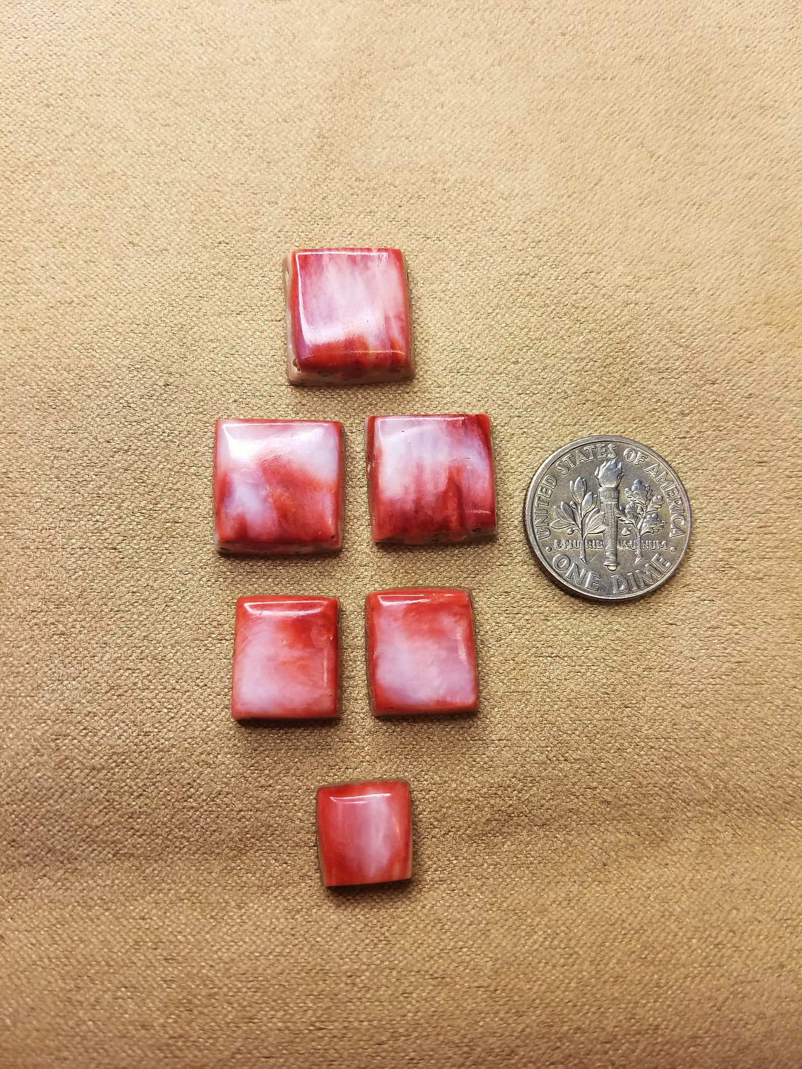 Red and White Square Spiny Oyster Shell Cabochon Set/ Backed - Etsy
