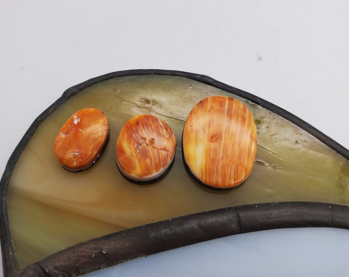 Orange Spiny Oyster Shell Square Cabochon Set/ Set of 3/backed/ - Etsy