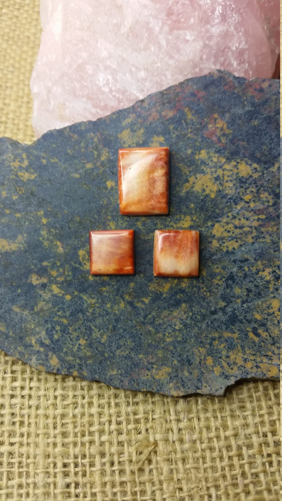 Orange Spiny Oyster Shell Rectangle Cabochon Set/ Backed/ Set of 3 - Etsy