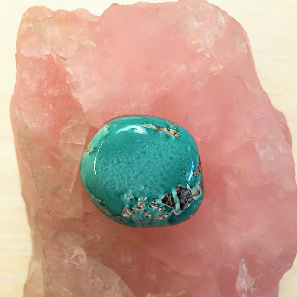 Fox Turquoise - Etsy