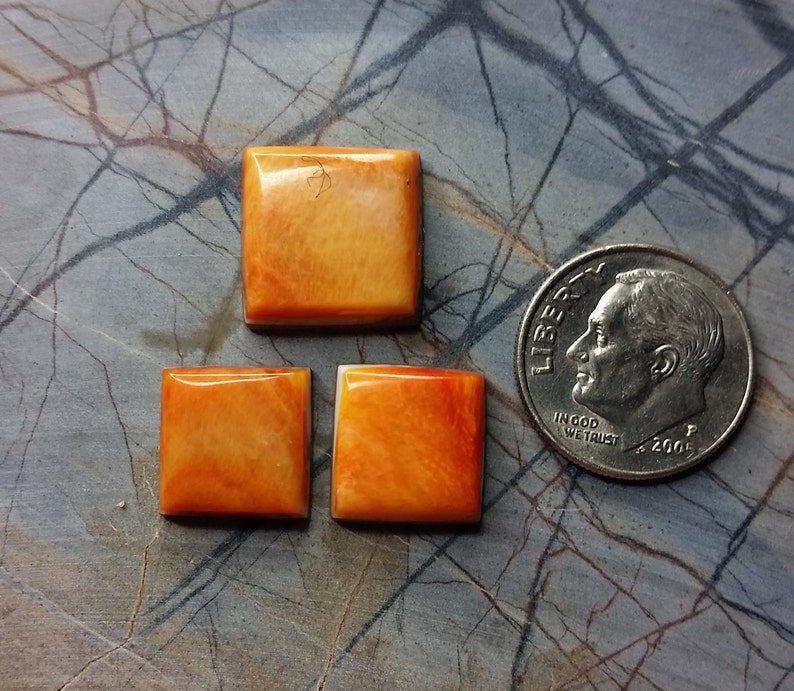 Orange Spiny Oyster Shell Square Cabochon Set/ Set of - Etsy