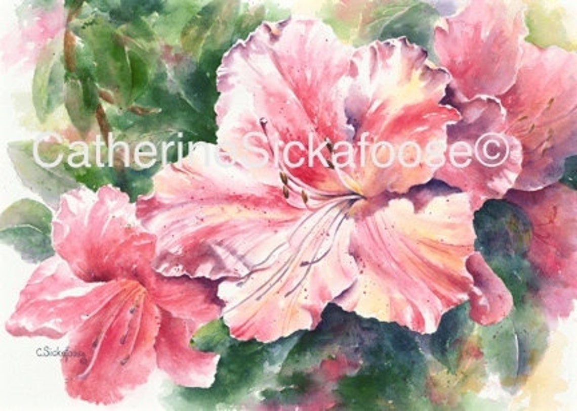 Azaleas, WATERCOLOR PAINTING, a Fine Art Giclée, Pink, Green - Etsy
