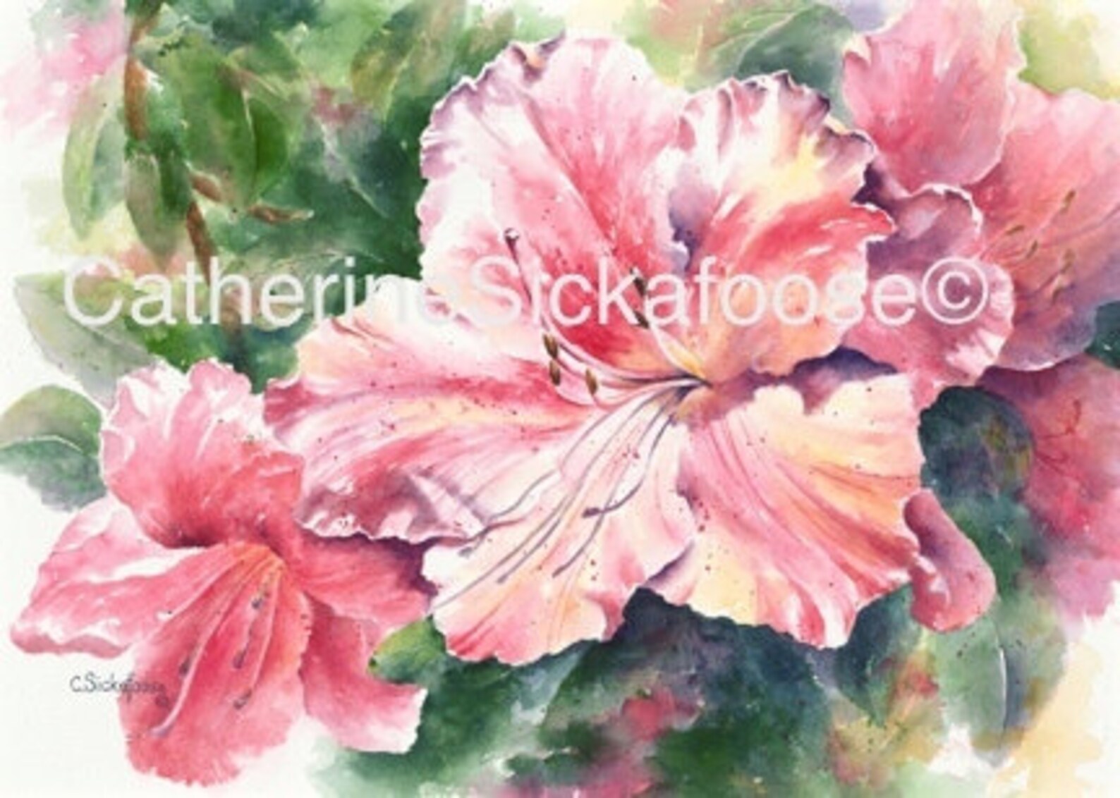 Azaleas, WATERCOLOR PAINTING, a Fine Art Giclée, Pink, Green - Etsy