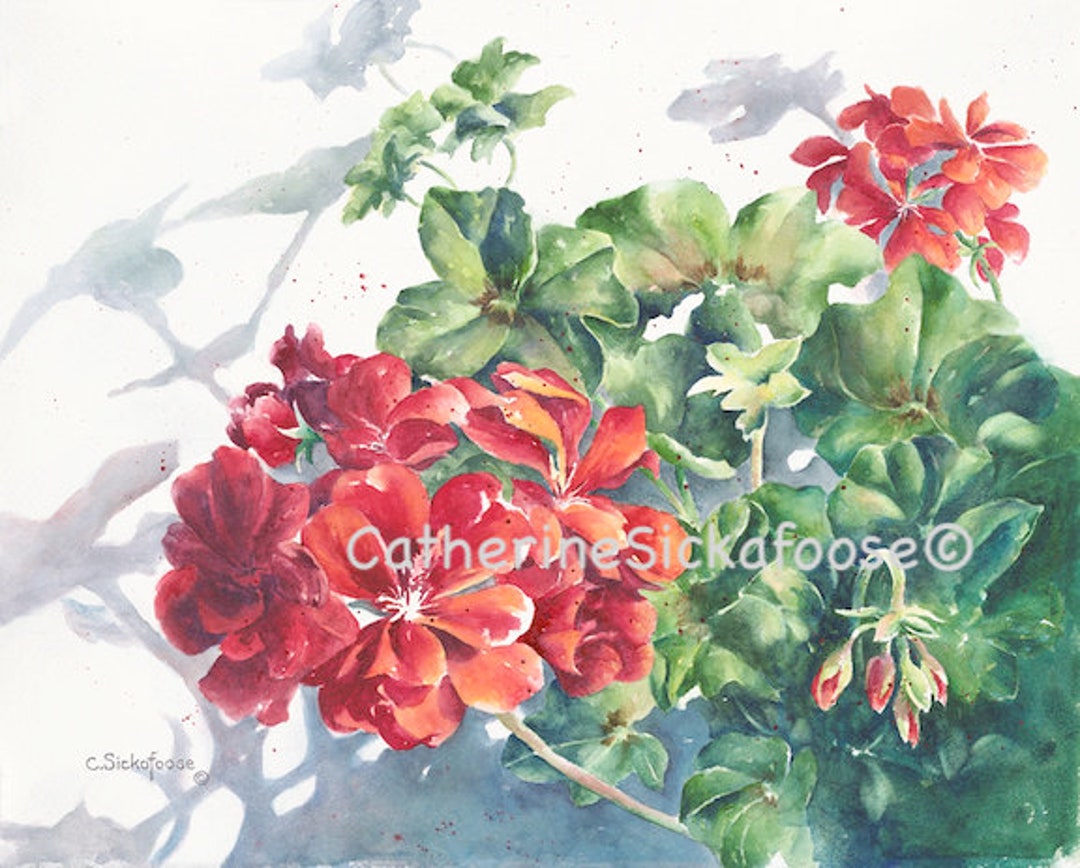 Geranium, WATERCOLOR PAINTING, Fine Art Giclée, Flowers, Red, Green ...