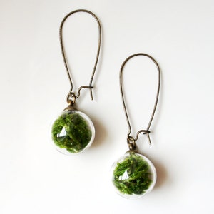 Glass Globe Moss Earrings - Etsy