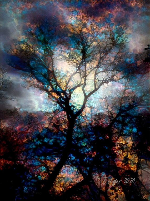 Abstract Tree Art Print Tree Nature Art Dramatic Tree Art - Etsy