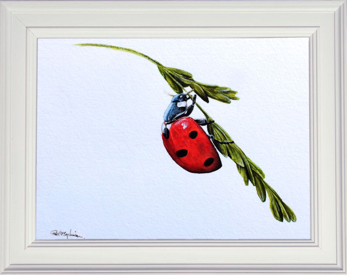 Watercolor Ladybug Painting Tutorial Ladybird Watercolour PDF | Etsy