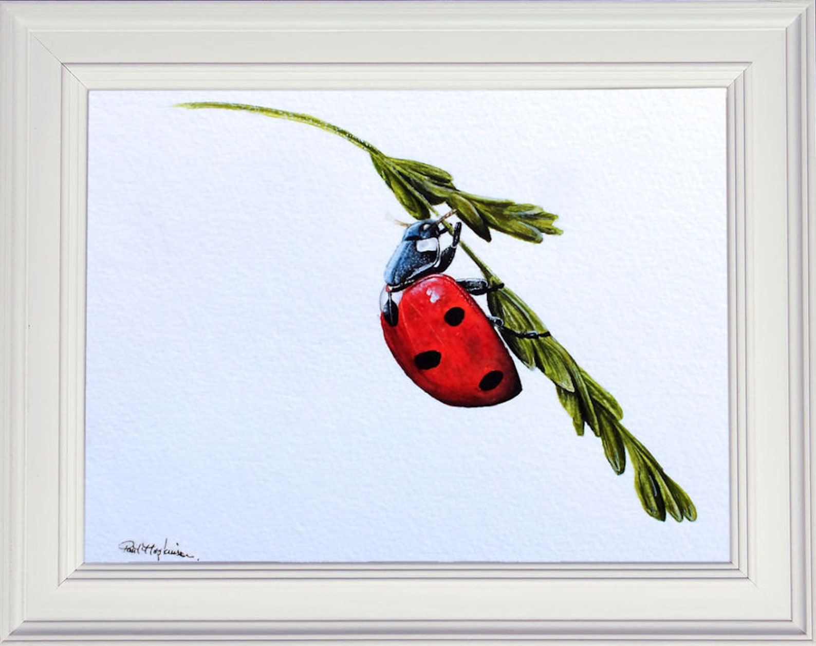 Watercolor Ladybug Painting Tutorial Ladybird Watercolour PDF | Etsy