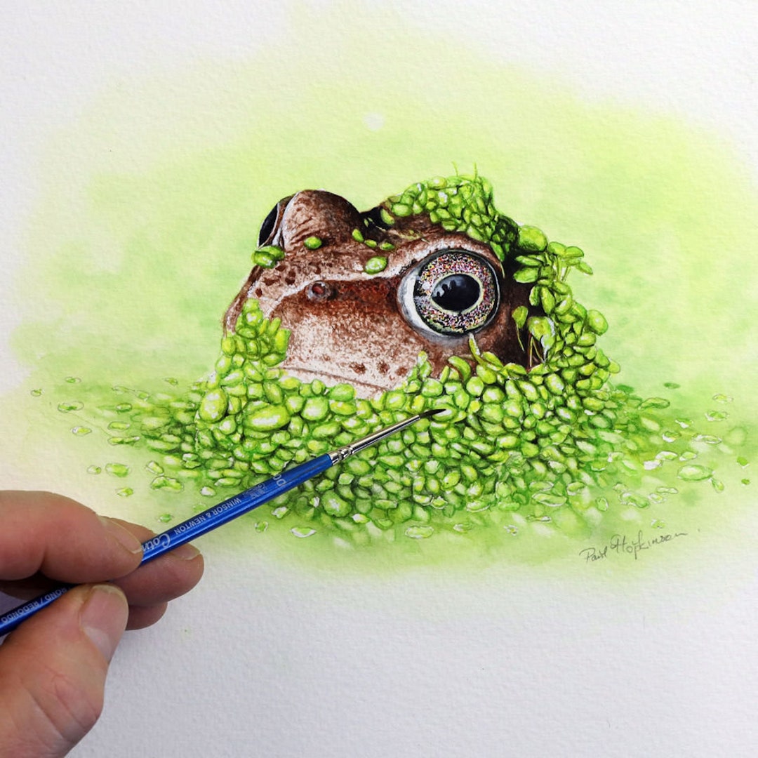 Frog Watercolour Painting Lesson, Learn to Paint Amphibians in Fine ...