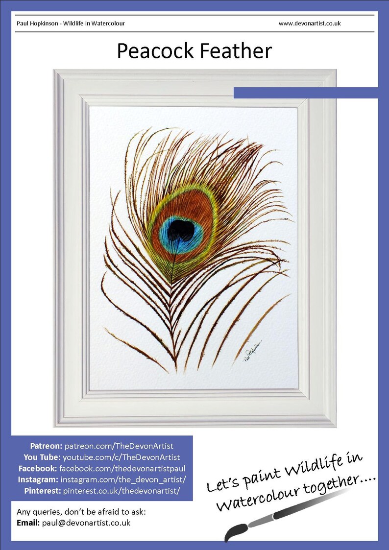 Learn to Paint a Feather in Watercolour, Peacock Feather Watercolor ...