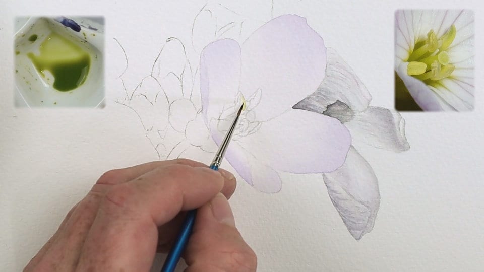 Watercolor Flower Painting Lesson: Botanical Art (PDF Download) - Etsy