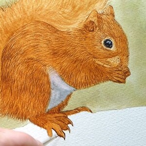 Watercolour Wildlife Painting Tutorial, Learn to Paint in Watercolor ...