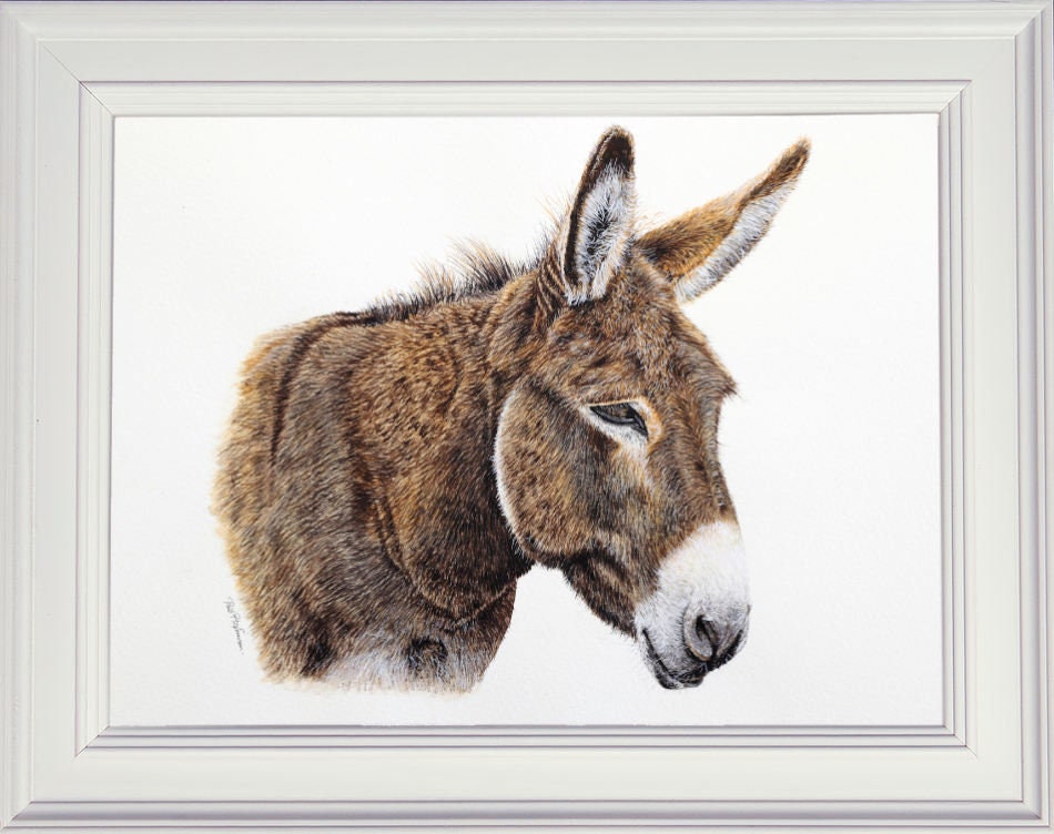How to Paint a Donkey in Realistic Watercolour Illustration - Etsy UK