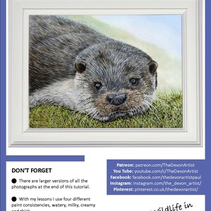 How to Paint an Otter in Realistic Watercolour, Wildlife Illustration ...