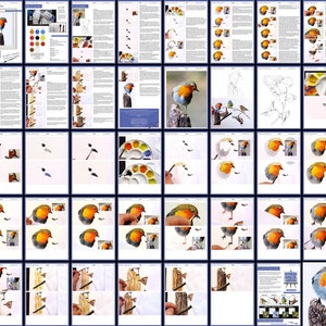 Paint a Realistic Robin in Watercolour, Step by Step PDF by Paul ...