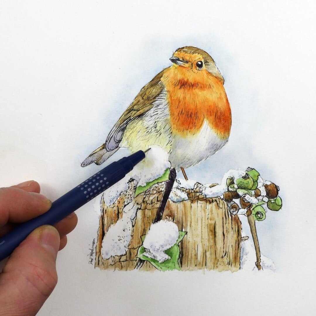 ORIGINAL Pen & Wash Robin Painting, Fine-art Watercolour Illustration ...