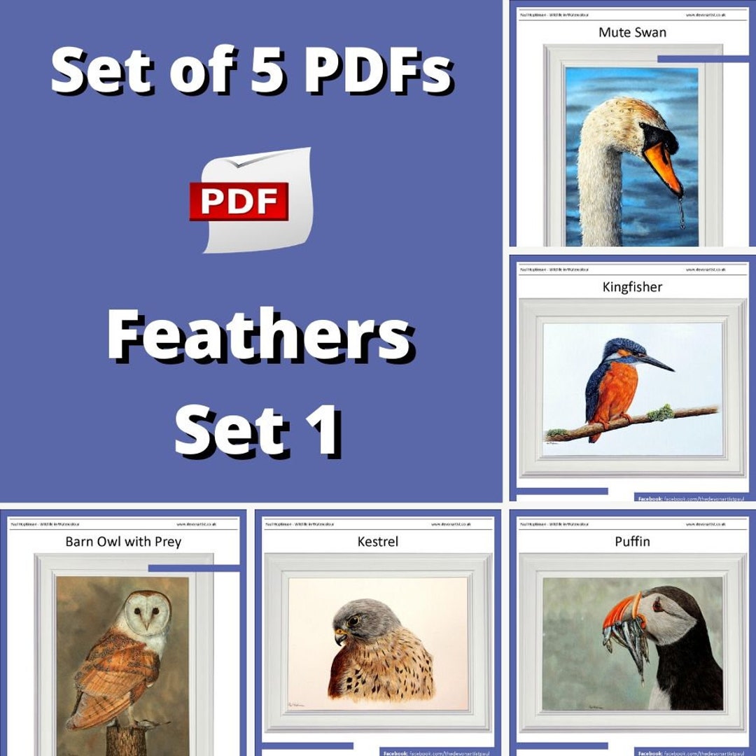 Downloadable Lessons on How to Paint Feathers in Watercolour, Realistic ...