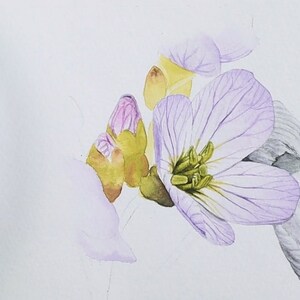 Watercolor Flower Painting Lesson: Botanical Art (PDF Download) - Etsy