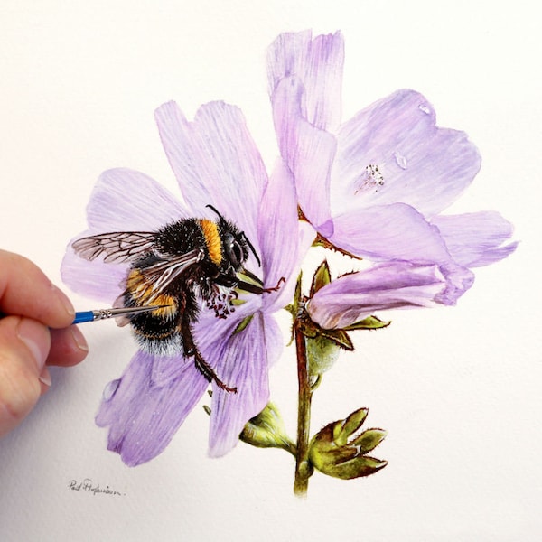 Watercolor Art - Etsy