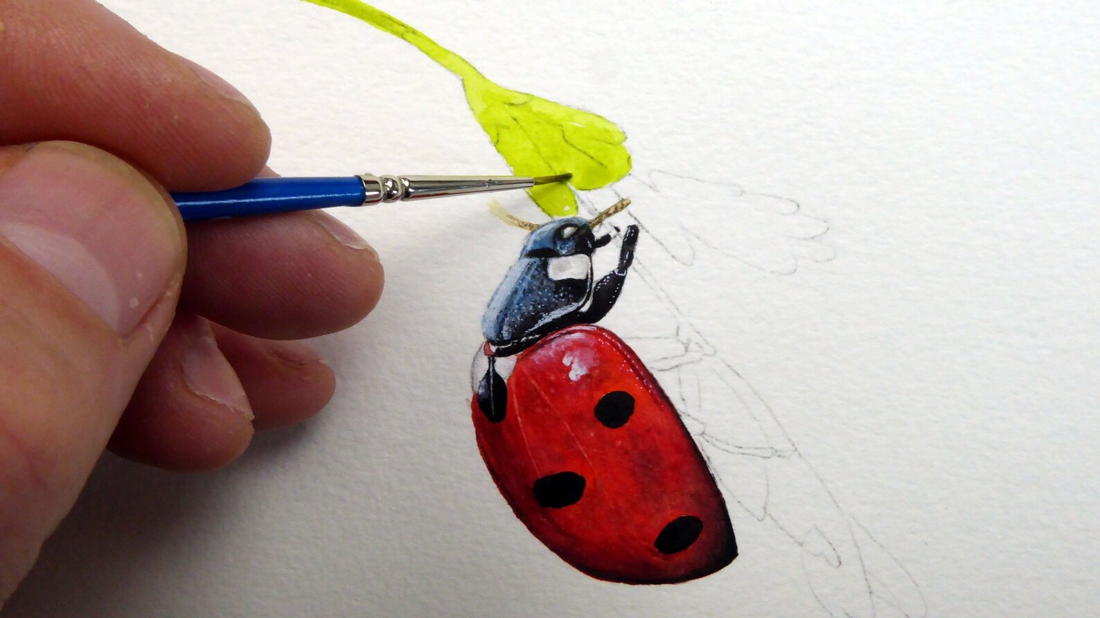 Watercolor Ladybug Painting Tutorial Ladybird Watercolour PDF | Etsy