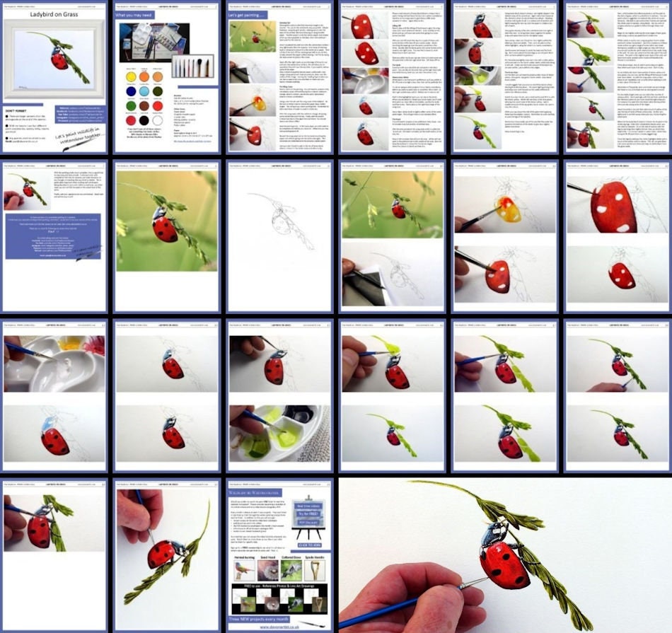 Watercolor Ladybug Painting Tutorial Ladybird Watercolour PDF | Etsy