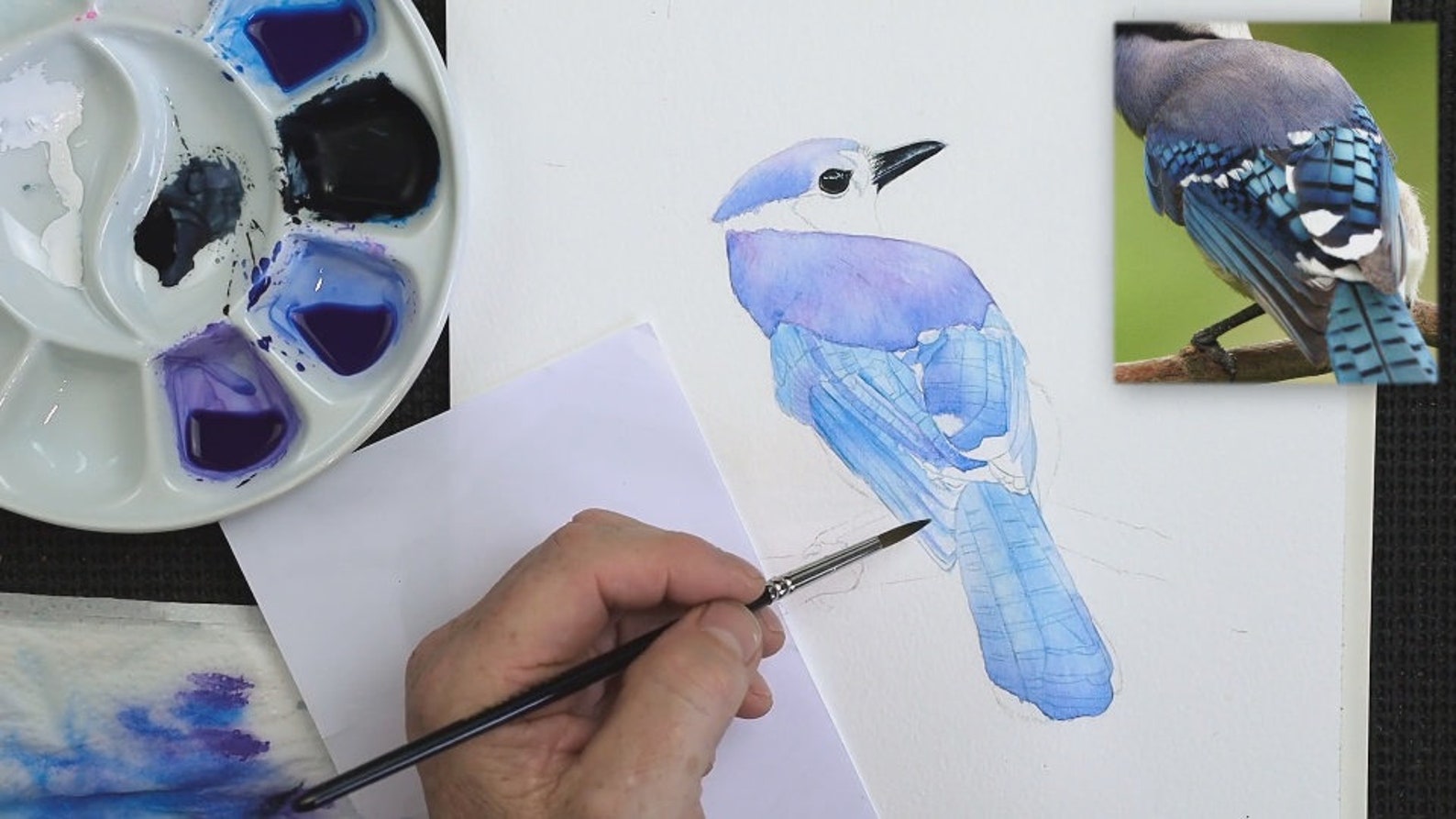 Blue Jay Watercolor Painting Lesson, Learn to Paint Realistic ...