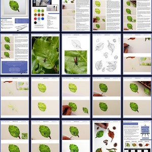 Downloadable PDF Watercolor Tutorial on Painting a Leaf, Art E-book ...