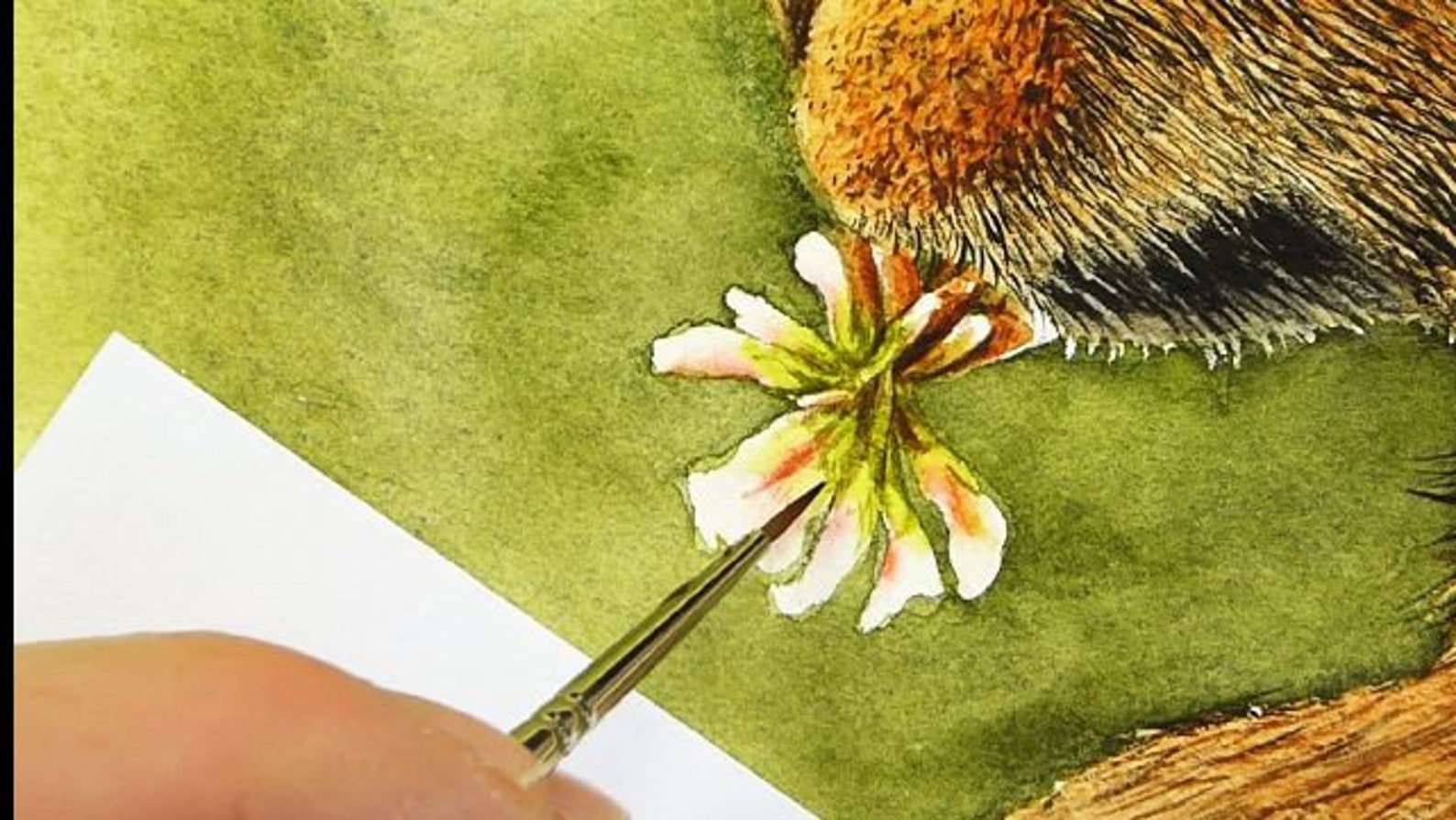 Watercolor Rabbit Tutorial: Realistic Fur Painting Lesson (PDF Download ...