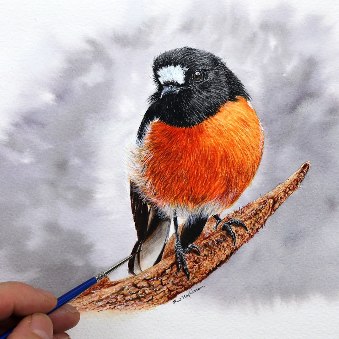 Watercolor Art Tutorial, Learn to Paint a Scarlet Robin in Detailed ...