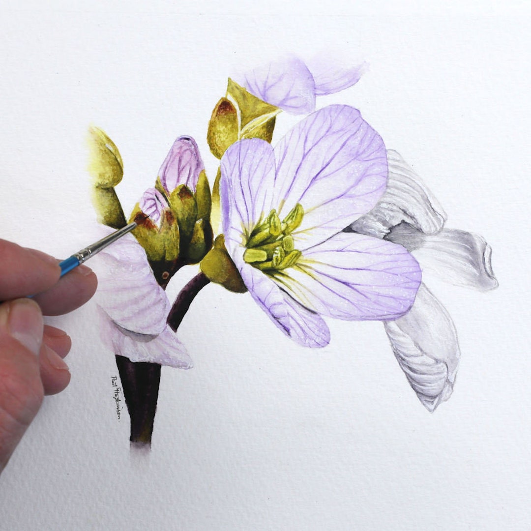 Watercolor Flower Painting Lesson, Learn to Paint Wild Flower ...