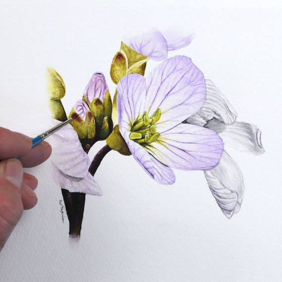 Watercolor Flower Painting Lesson Learn to Paint Wild Flower - Etsy
