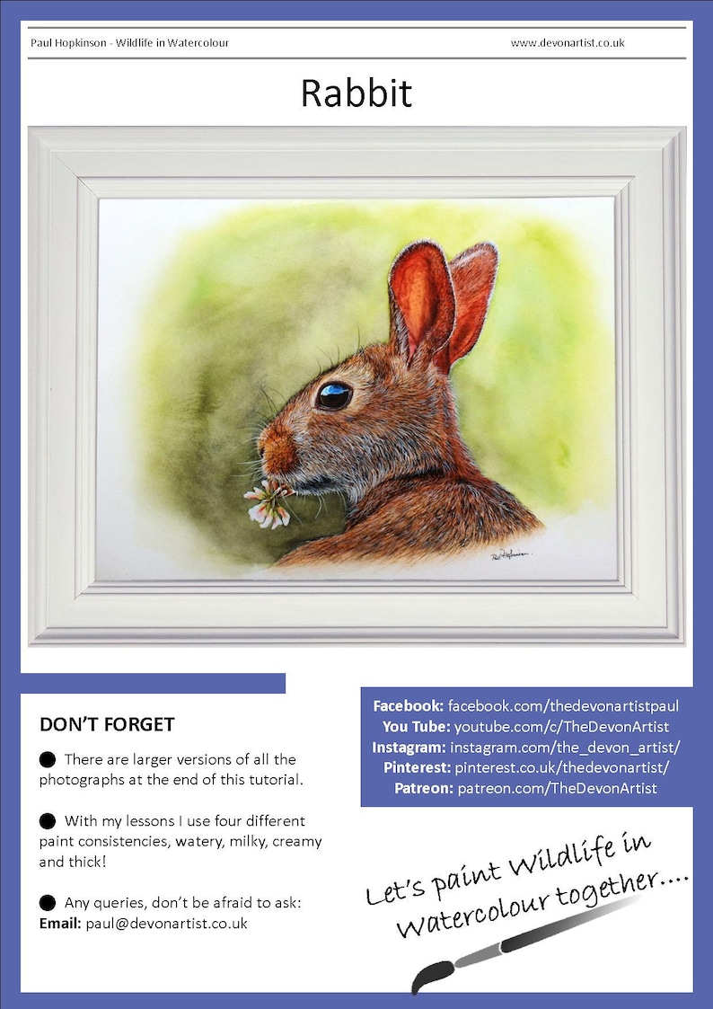 Watercolor Rabbit Tutorial: Realistic Fur Painting Lesson (PDF Download ...