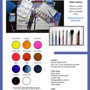 PDF Downloadable Watercolor Lesson, How to Paint Realistic Butterflies ...
