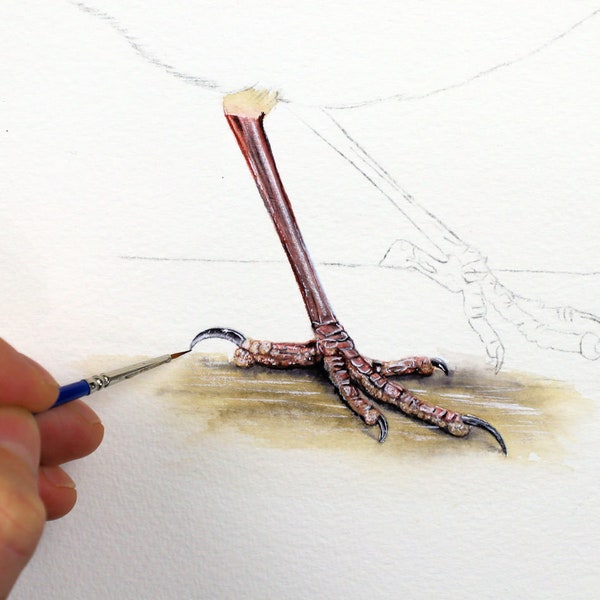 Realistic Bird Feet - Etsy