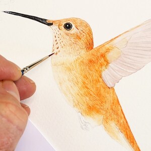 Hummingbird Watercolor Painting Lesson, Downloadable Watercolour Bird ...