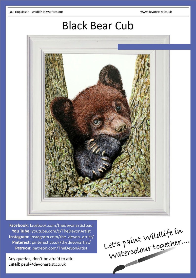 Watercolor Black Bear Cub Painting Lesson: Realistic Wildlife Art (PDF ...