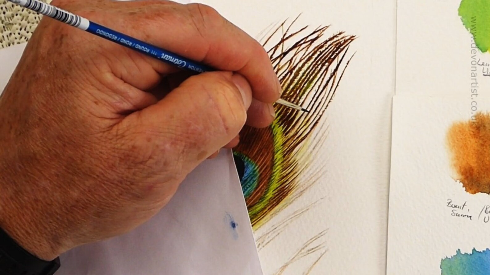 Learn to Paint a Feather in Watercolour, Peacock Feather Watercolor ...