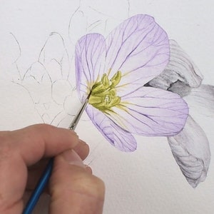 Watercolor Flower Painting Lesson: Botanical Art (PDF Download) - Etsy