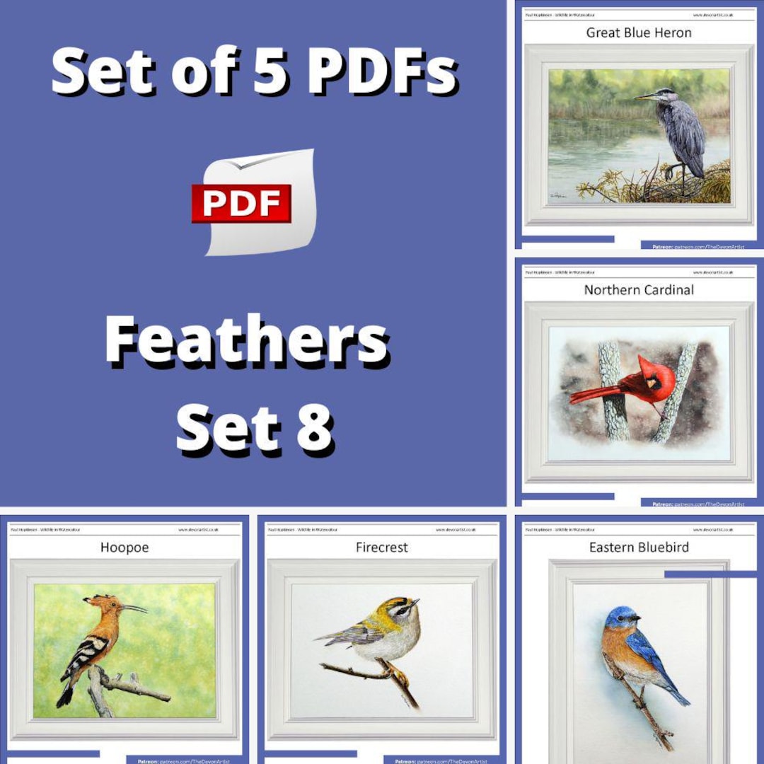 5 Bird Painting Lessons, Learn to Use Watercolor in Fine Detail ...