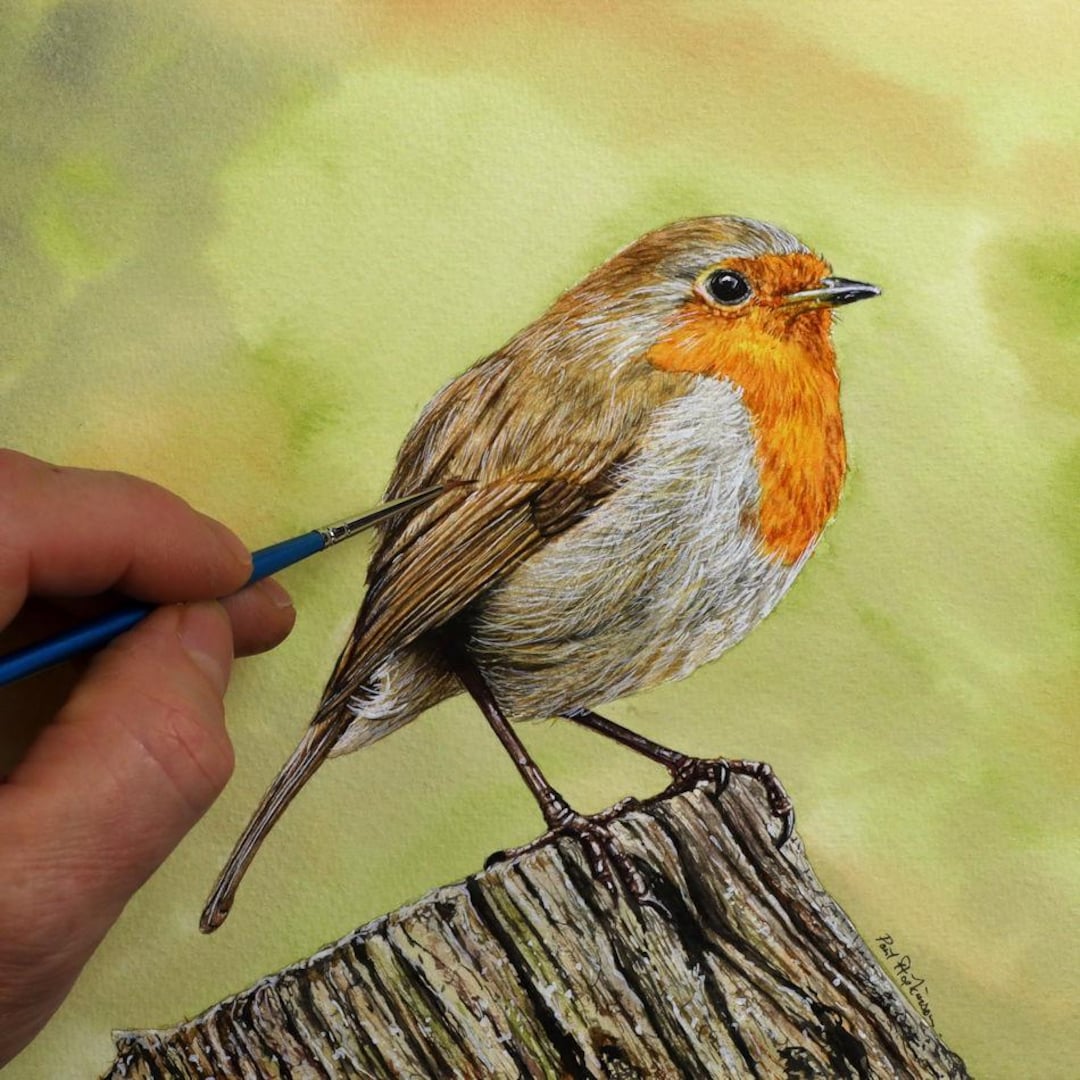 British Robin ORIGINAL Watercolour Painting, Realistic Illustration ...