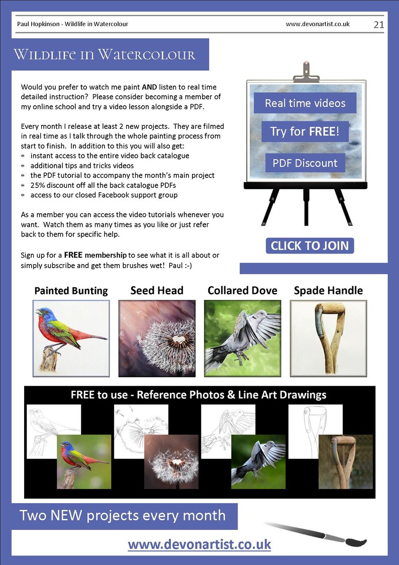 Watercolor Ladybug Painting Tutorial Ladybird Watercolour PDF | Etsy