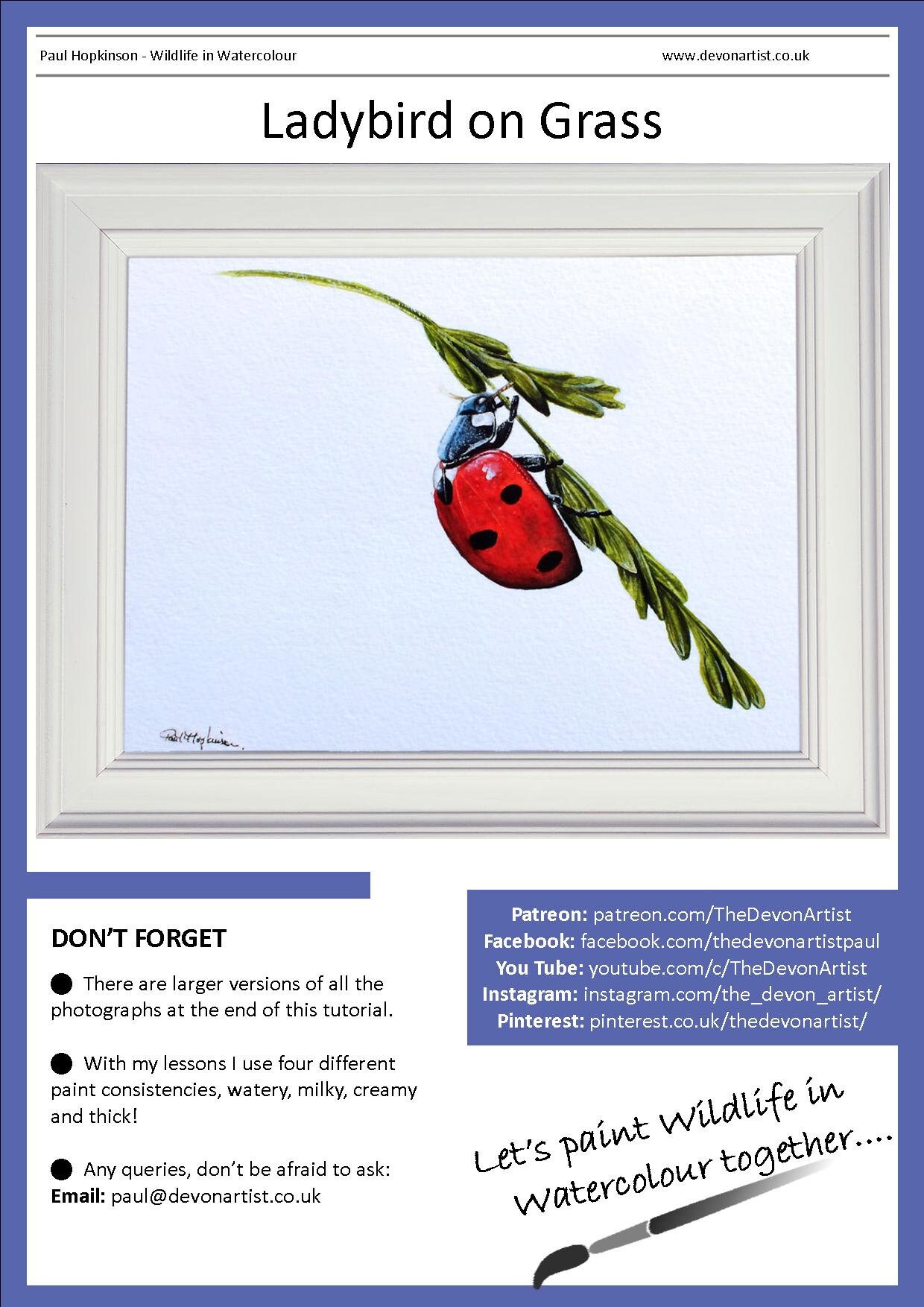 Watercolor Ladybug Painting Tutorial Ladybird Watercolour PDF | Etsy