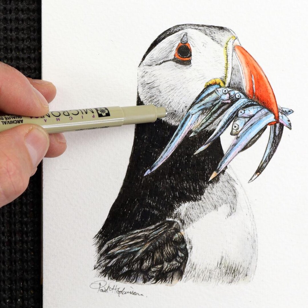 ORIGINAL Puffin Line & Wash Illustration, Fine-art Watercolour Painting ...