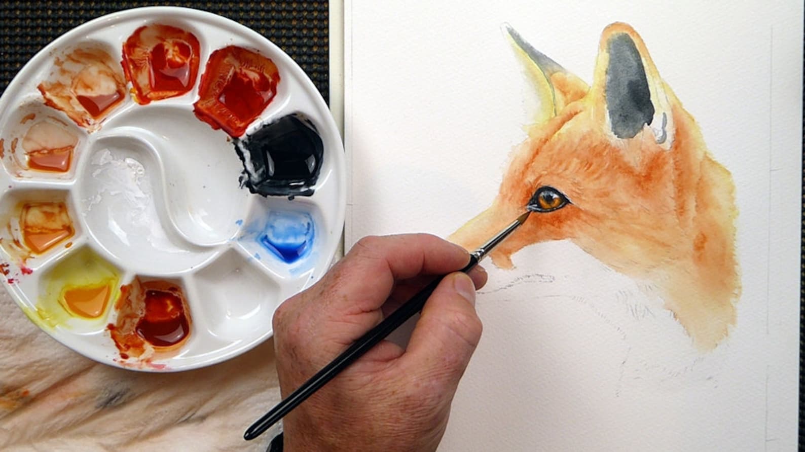 Watercolor Fox Painting Tutorial: Wildlife Art Lesson (PDF Download ...