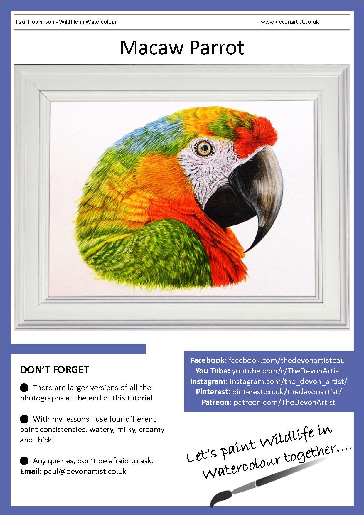 Parrot Watercolor Painting Tutorial: Detailed Step-by-step Art Lesson ...